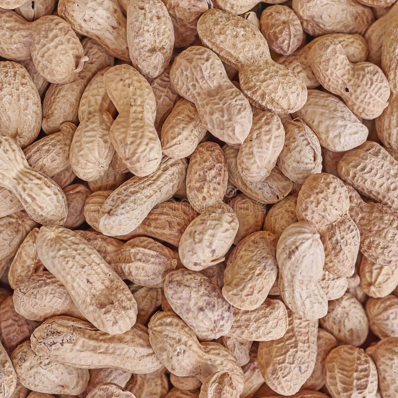 Background With Groundnuts. Close Up. Stock Photo - Image of ...