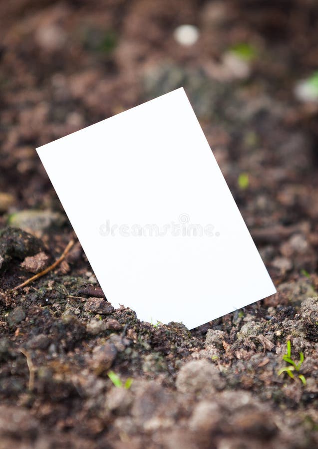 Organic growth stock image. Image of growth, empty, communication ...