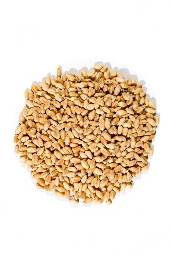 162 Non Edible Seeds Stock Photos - Free & Royalty-Free Stock Photos ...