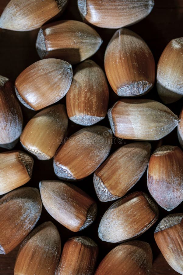 Organic Hazelnuts on a Table, Above Vantage Point Photography, Macro ...