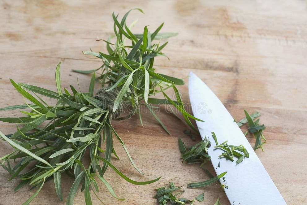 Organic Herb Garden stock image. Image of stylish, herbs - 3049187