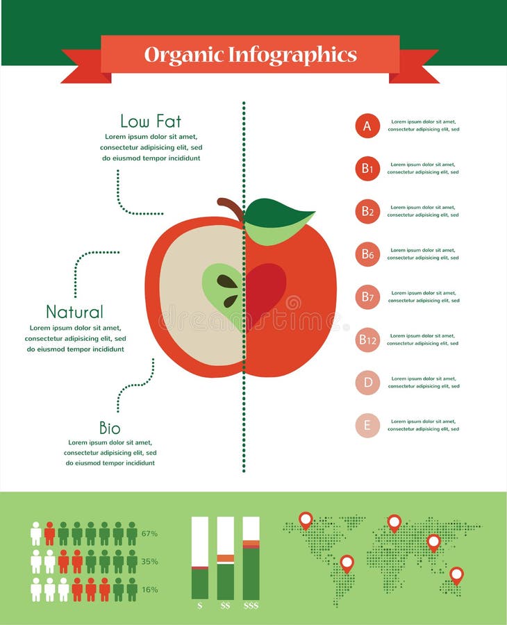 Organic Infographics with Apple and Charts Stock Illustration ...
