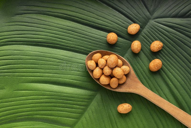 Organic Japanese Peanuts in the Spoon - Arachis Hypogaea Stock Image ...