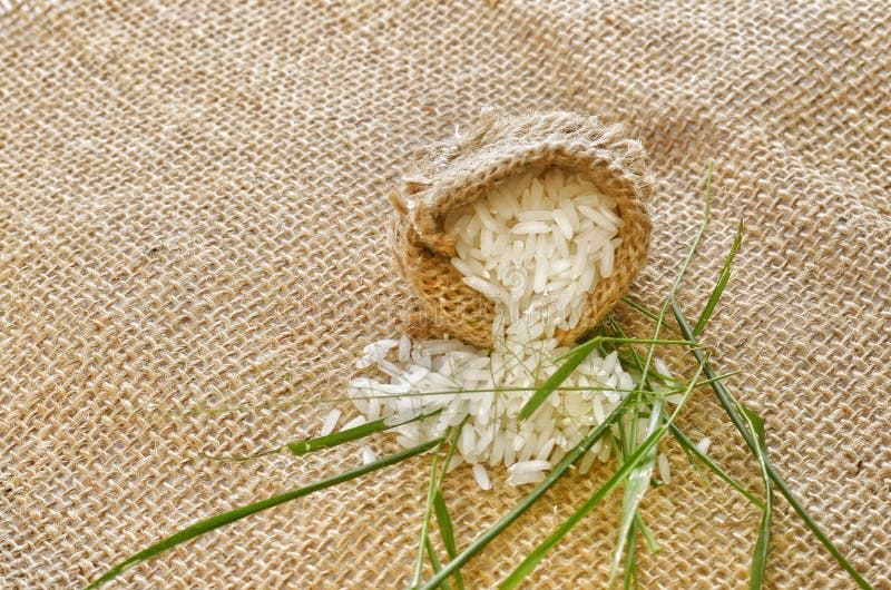 ORGANIC JASMINE RICE on Sack Cloth Stock Image - Image of sack, yellow ...