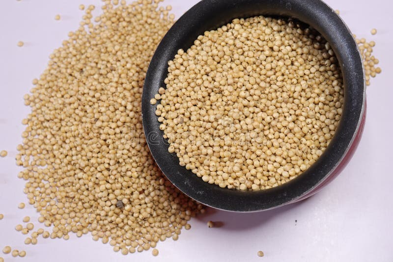 This is a Natural Jawar Crop in the Field Village of Ambegaon ...