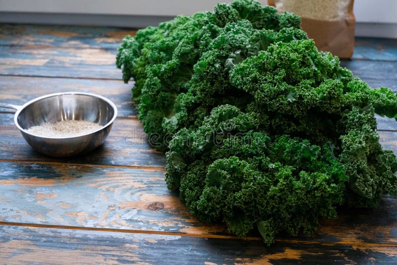 Organic Kale with Water Droplets in Closeup Stock Photo - Image of ...