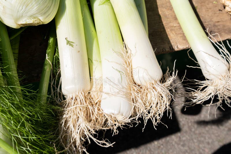 Organic Leeks at a Small Farmers Market Stock Image - Image of healthy ...