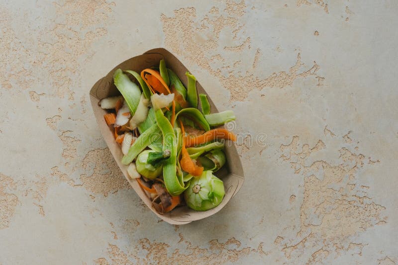 Organic Leftovers, Waste from Vegetable Ready for Recycling and To ...