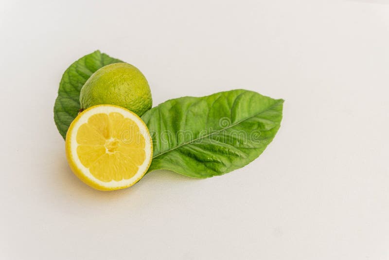 Organic Lemon and Lime with Two Lemon Tree Leaves Isolated on White ...