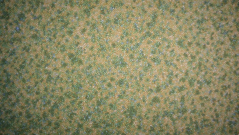 Organic Lichen Texture in Green and Beige Tones Stock Illustration ...