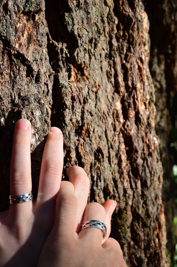 Organic Love stock image. Image of love, green, married - 22457469