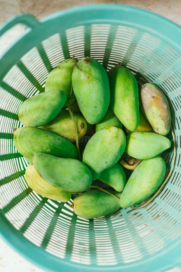 Mango collected in a crate stock image. Image of freshness - 376310253