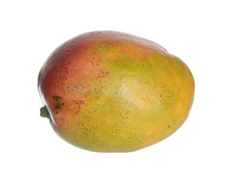 Single mango stock image. Image of nutrition, sweet, healthy - 31754637