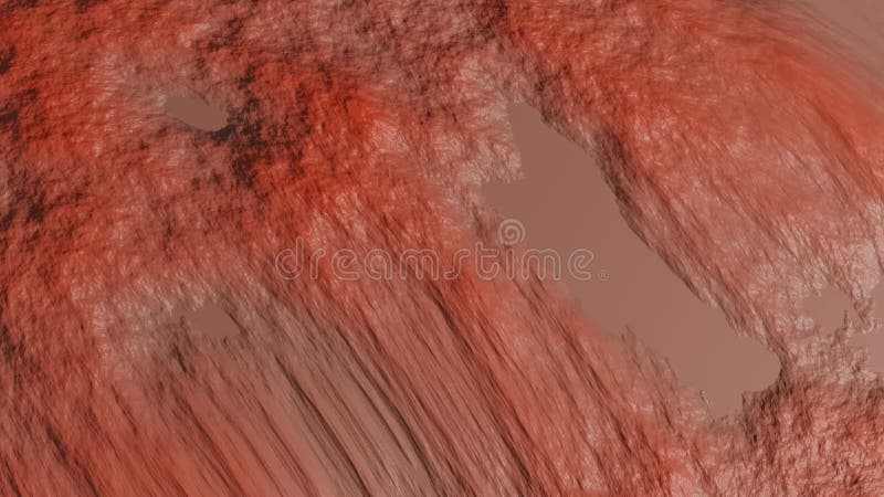 Organic Material Resembling Muscle Tissue Under a Microscope or ...