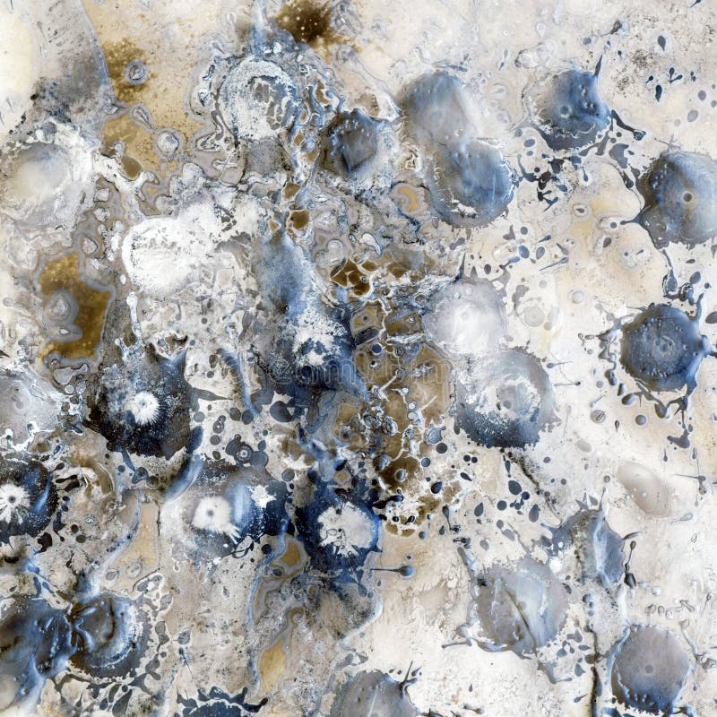 Organic Matter stock photo. Image of cultured, discovery - 55910426