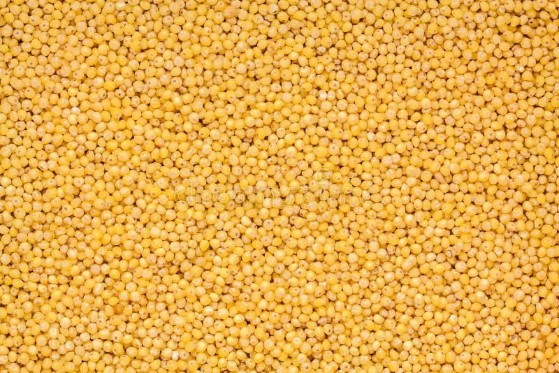 Organic millet seeds stock image. Image of granular, healthy - 53110869