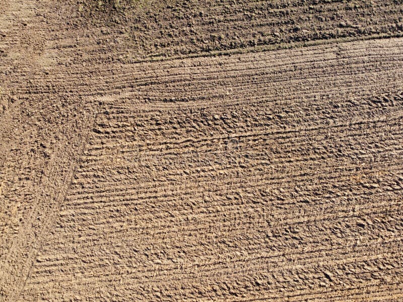 Organic and Mineral Structure of Plants and Soil Containing Humus in ...