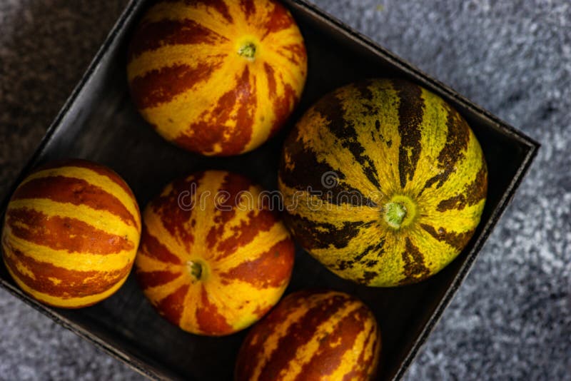 Organic mini melons stock image. Image of natural, fresh - 152427337