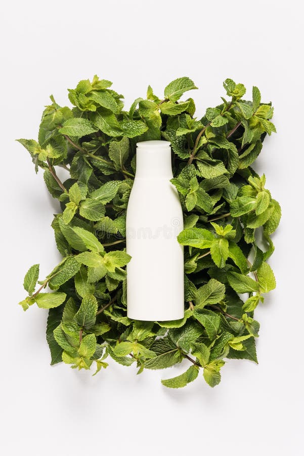 Organic mint lotion stock image. Image of bottle, relax - 101703877