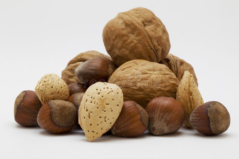 Chestnut stock image. Image of autumn, food, nature, seeds - 34518777