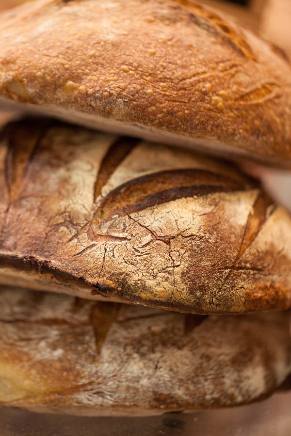Organic Multigrain Breads at the Bakery Stock Photo - Image of ...