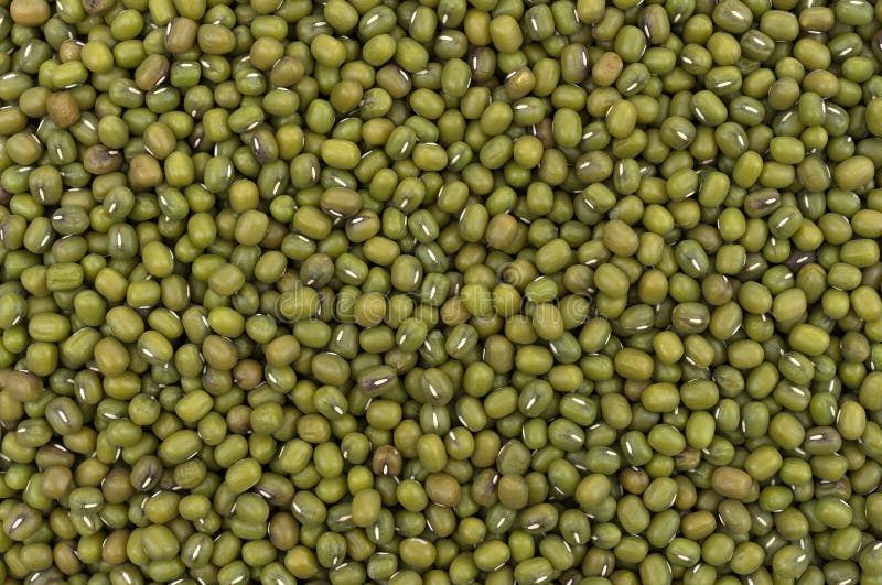 Organic mung beans stock image. Image of green, ingredient - 103496709
