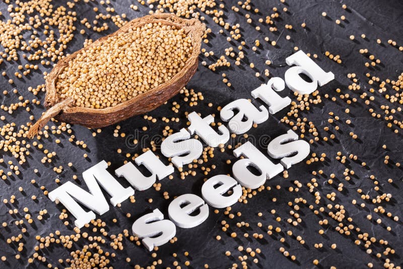 Organic Mustard Seeds - Sinapis Alba Stock Image - Image of cruciferous ...