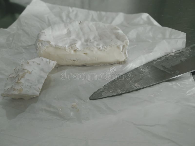 Organic Natural Camamber Cheese. Stock Photo - Image of hand, baking ...