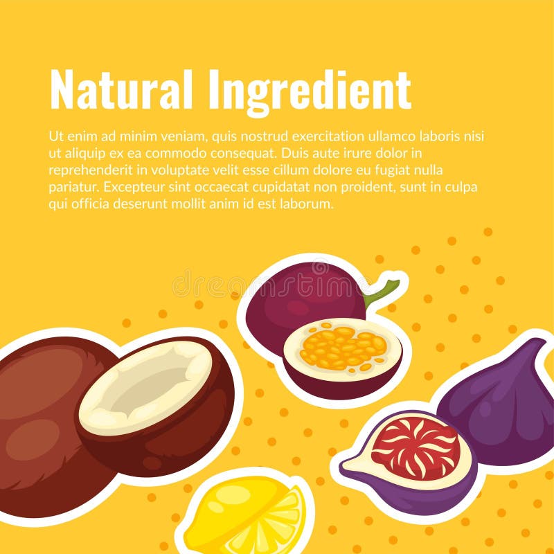 Natural Ingredients For Healthy Diet And Lifestyle Stock Vector Illustration Of Natural