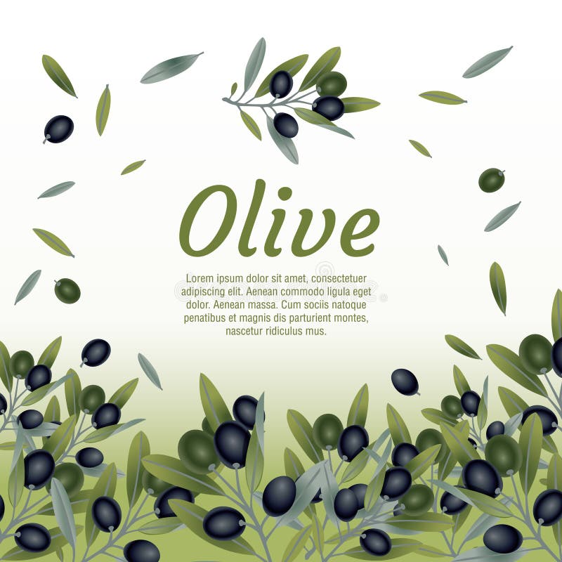 Organic Natural Food Olive Tree Branch Background Vector Illustration ...