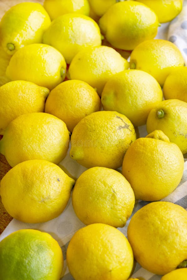 Organic and natural lemon stock photo. Image of juicy - 211068816