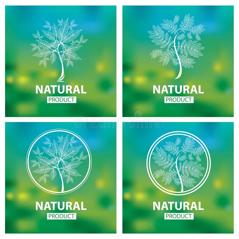 Organic natural logos stock vector. Illustration of border - 58430742