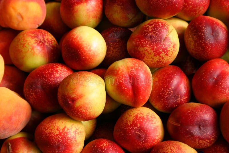 Nectarines stock image. Image of market, fruit, nectarine - 97744291
