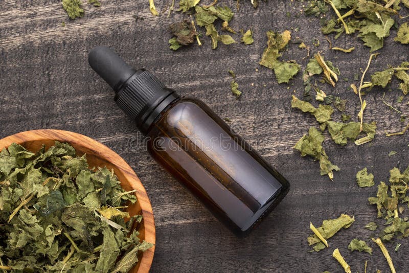 Organic Nettle Plant Extract - Urtica Medicinal Stock Image - Image of ...