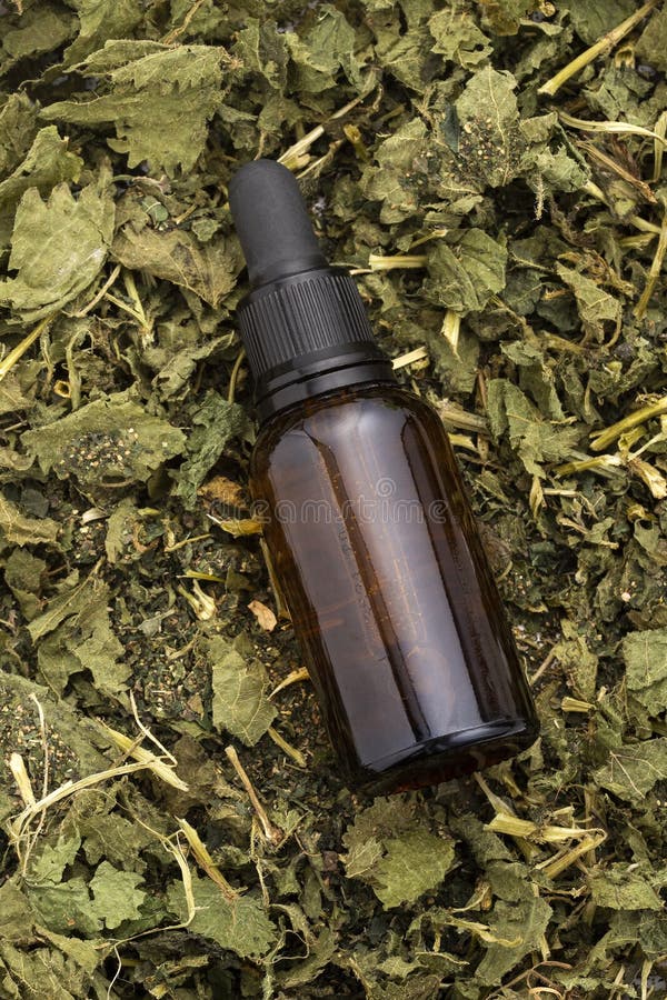 Organic Nettle Plant Extract - Urtica Medicinal Stock Photo - Image of ...