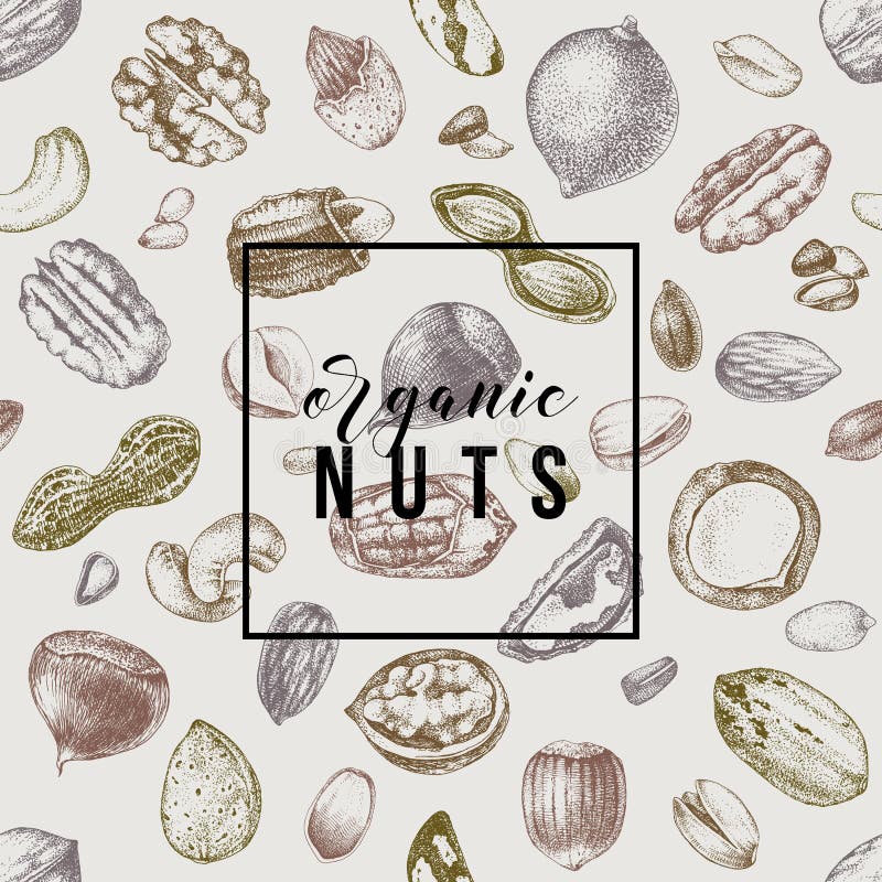 Organic Nuts Emblem Over Seamless Pattern with Hand Drawn Nuts Stock ...