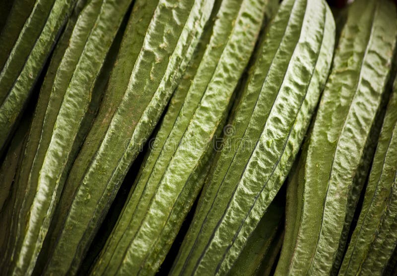 Organic Okra Display at Market Stock Photo - Image of green, ripe: 13392342