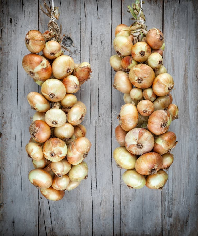 Onion string stock photo. Image of string, agriculture - 34706536