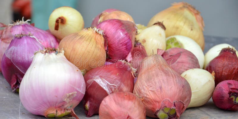 Organic onion stock image. Image of grocery, root, spice - 40342173