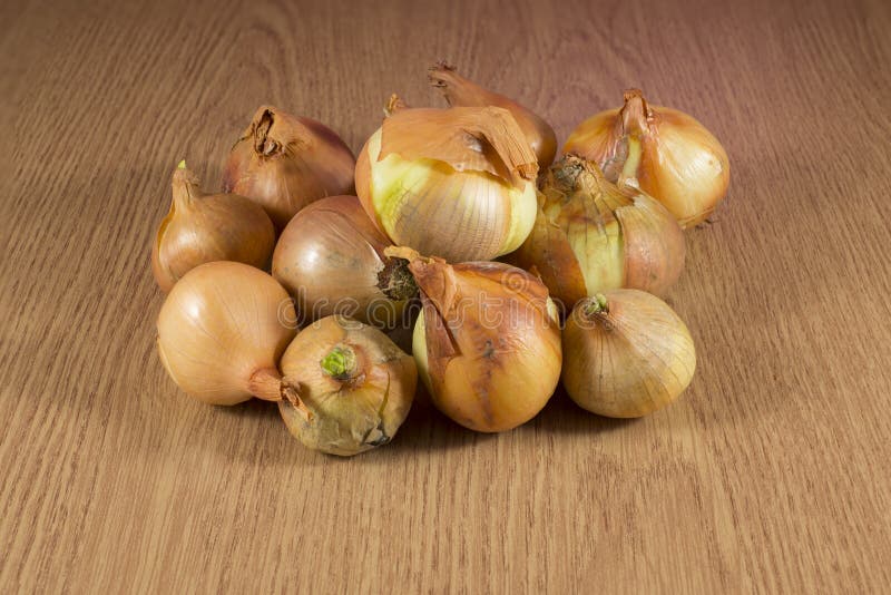Organic onion. stock photo. Image of vegetal, natural - 37778136
