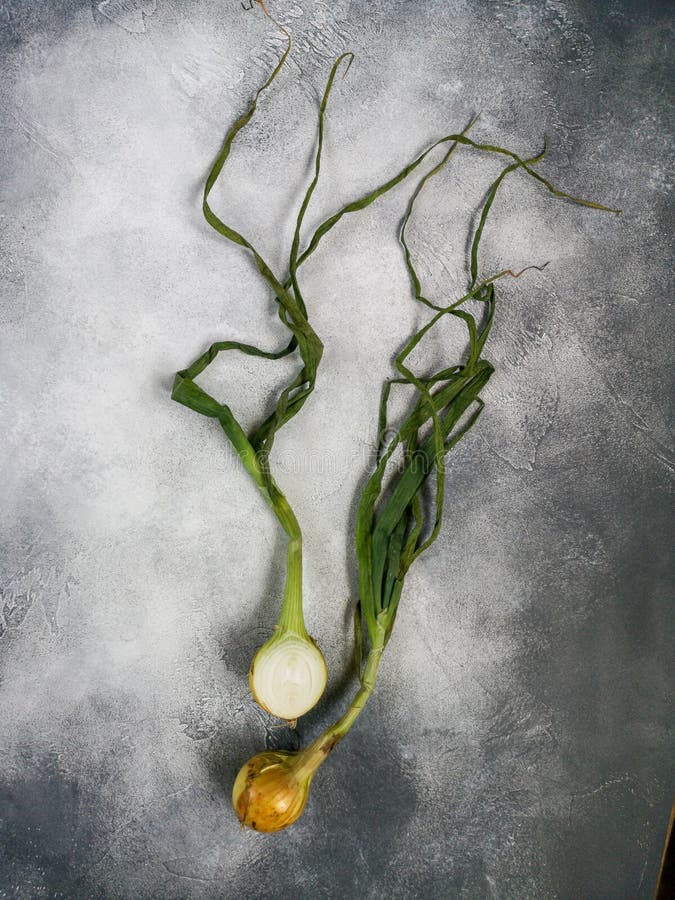 Organic Onions on Slate Textured Surface, Background. Ripe Onions. Bulb ...