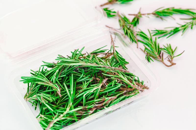 Organic Pack of Fresh Rosemary Stock Image - Image of macro, green ...