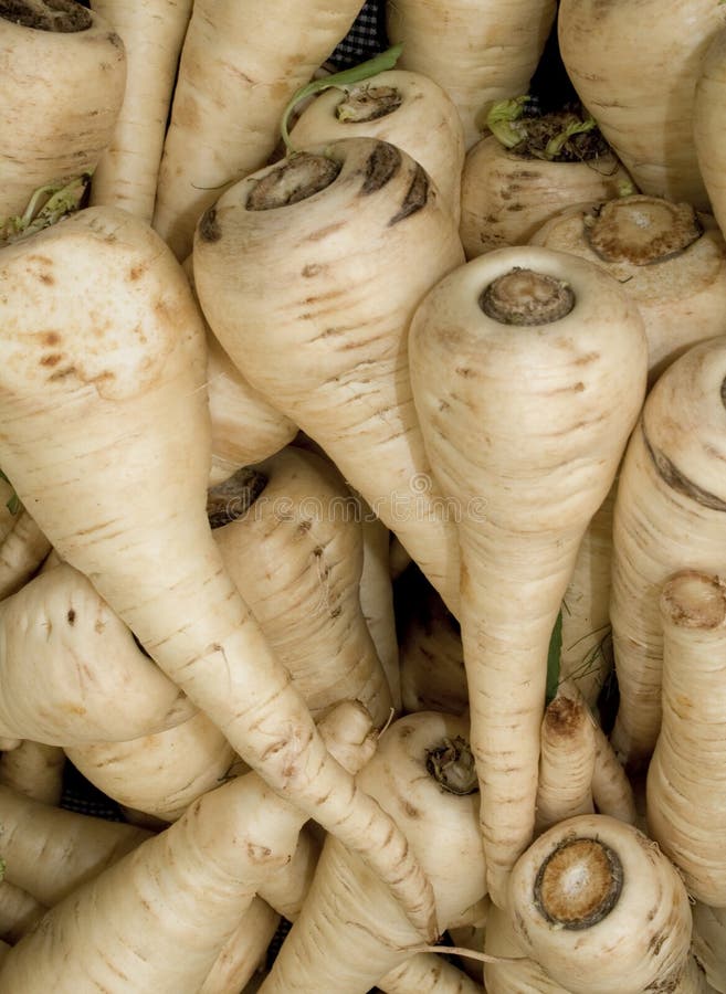 Organic Parsnip stock image. Image of kitchen, farmers - 9144451