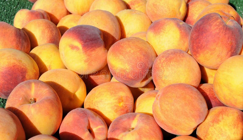 Organic peach stock image. Image of fresh, market, ripe - 31754635