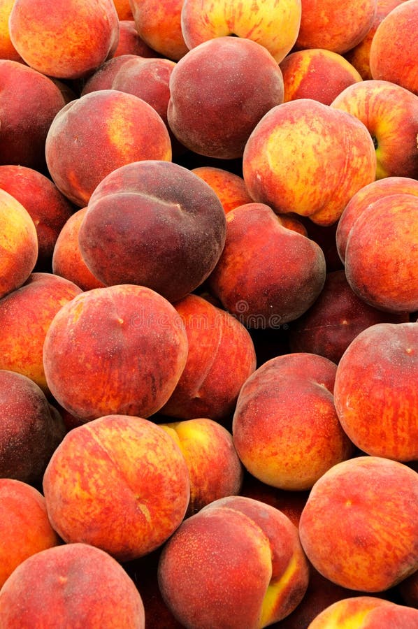 Peach fruits stock photo. Image of peach, nature, nutrient - 33360232