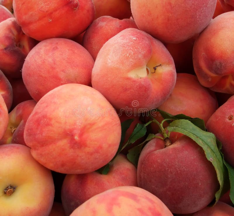 Organic Peaches stock photo. Image of juicy, growth, health - 6212142