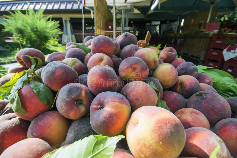 Organic peaches stock image. Image of ripe, juicy, white - 33798381