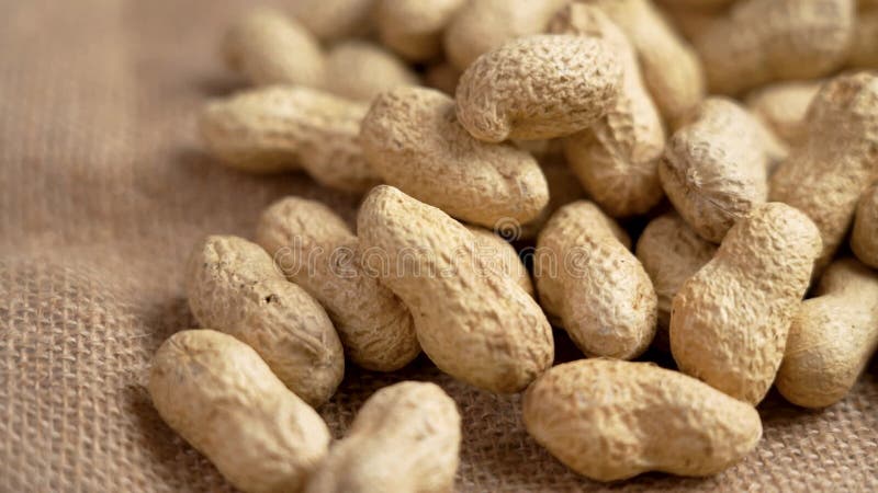 Organic Peanuts in Shell Falling on a Rustic Rough Burlap. Stock Video ...