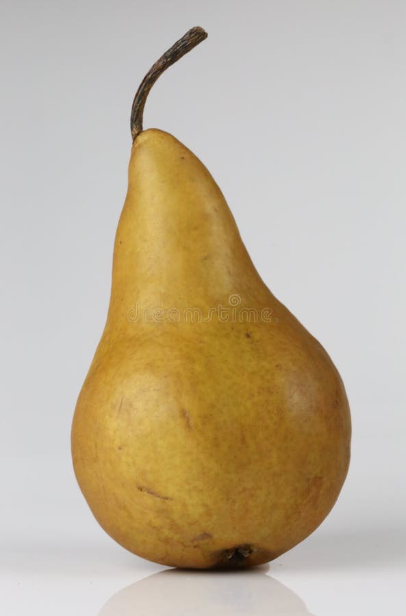 Organic Pearl fruit stock photo. Image of feed, picked - 182647706