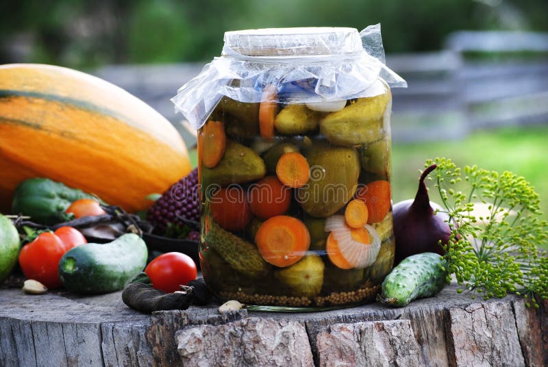 Organic pickles stock image. Image of food, cucumber - 33527193